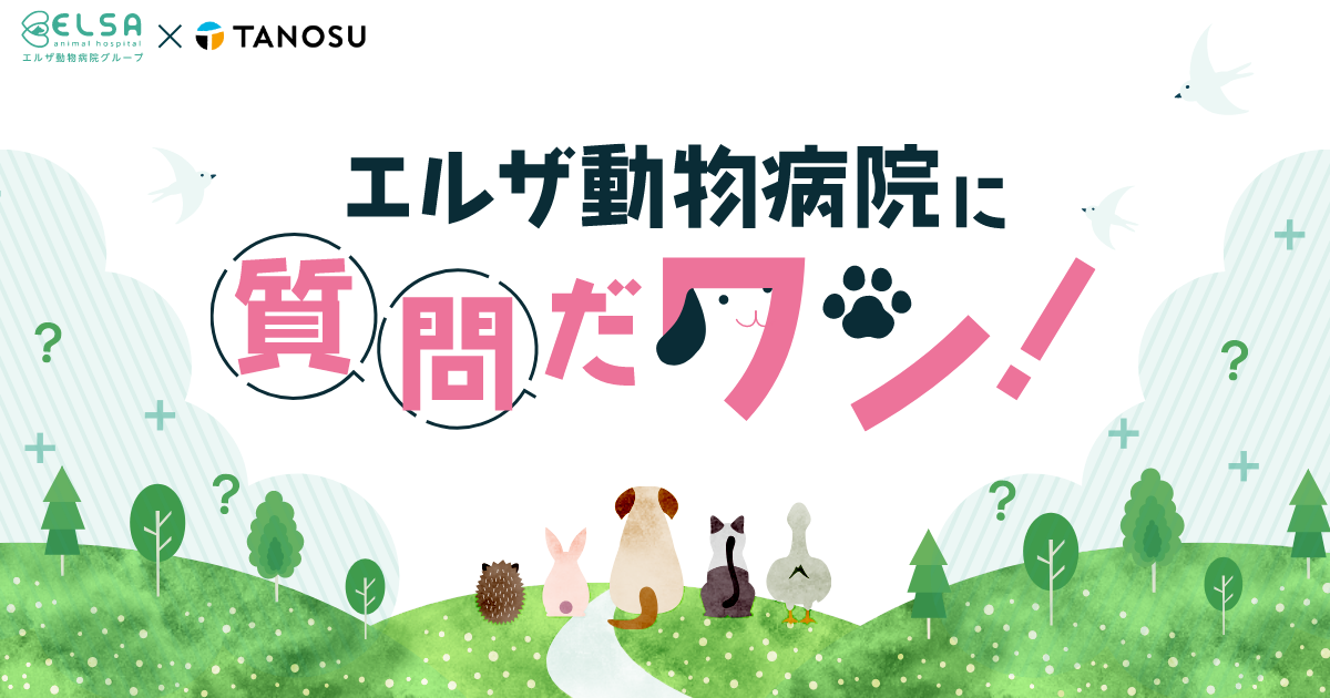 エルザ動物病院 ｜ エルザ動物病院に質問だワン！ ｜ エルザ動物病院 × TANOSU [タノス]