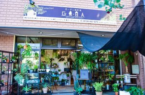 【姫路・加古川周辺】オシャレな花屋9選！母の日におすすめの花束やアレンジメントを紹介｜兵庫県はりまエリア(姫路・加古川など)の地域情報サイト｜TANOSU [タノス]